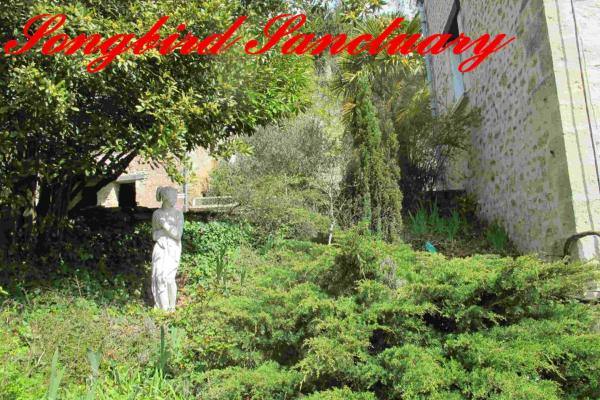 Songbird Sanctuary - Amboise