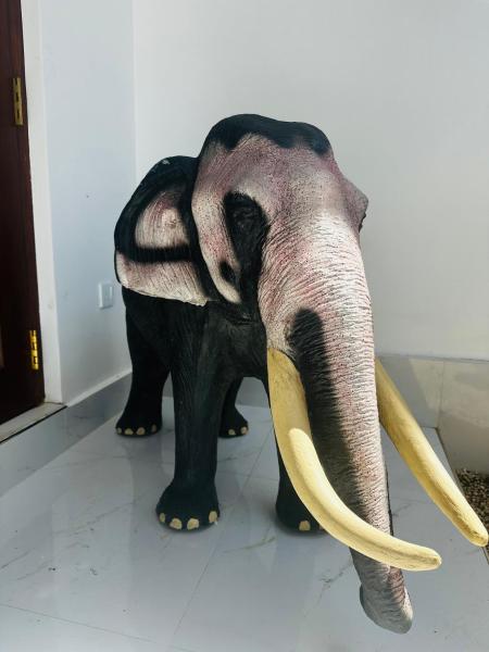 Tropical Pearl Villa - Hikkaduwa