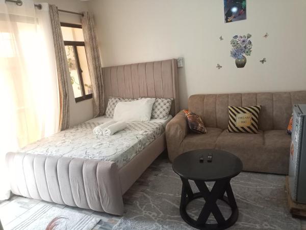 Homely Studio Apartment 2 - Kenya