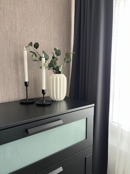 Vienibas Apartment - Latvia