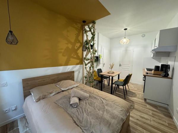 Studio Hyper Centre Le Cosy - Niort