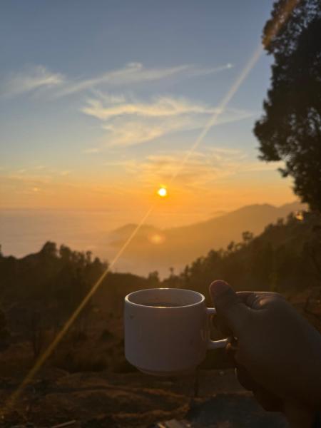 Echoes Of The Himalayas - Dhanaulti