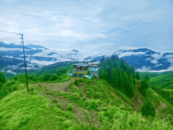 Pinaceae Resort - Chakrata