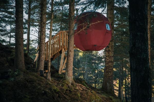 The Tree Tent Highland Hangout - Skye