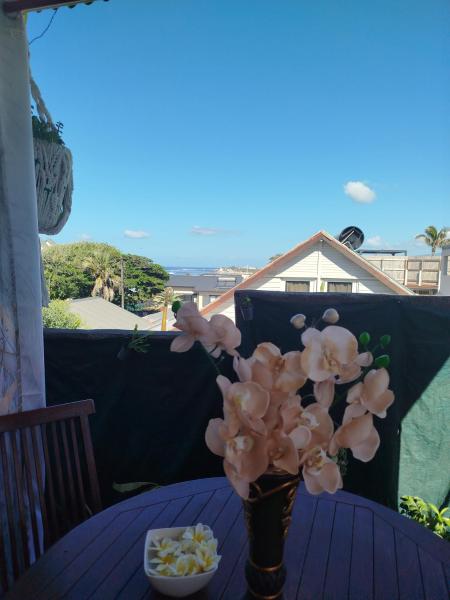 Location Saisonnière Le Lotus à 2 Minutes De La Plage - La Réunion
