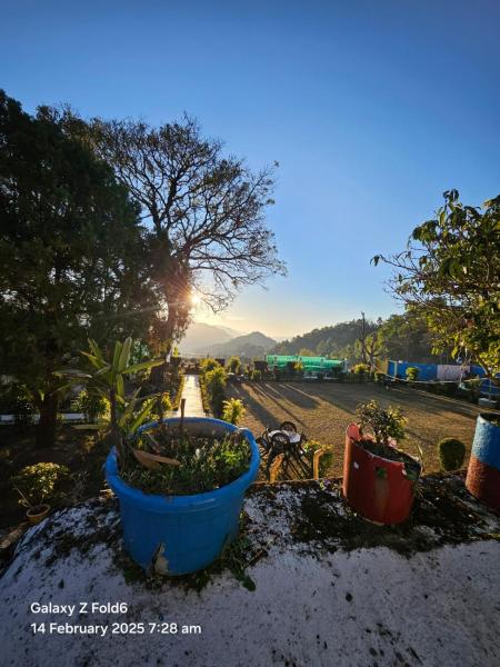 The Bayleaf Cafe And Shivalik Homestay - Uttarakhand