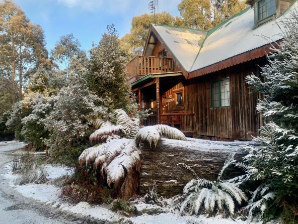 Cradle Highlander - Cradle Mountain