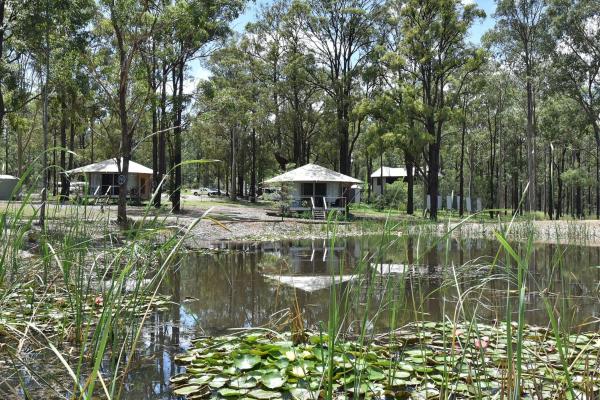 Pokolbin Glamping - Sleeps 6 Across 3 Eco-friendly Glamping Tents - Pokolbin