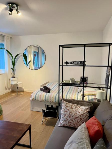 Beautiful Central Apartment Ge - Saint-Genis-Pouilly