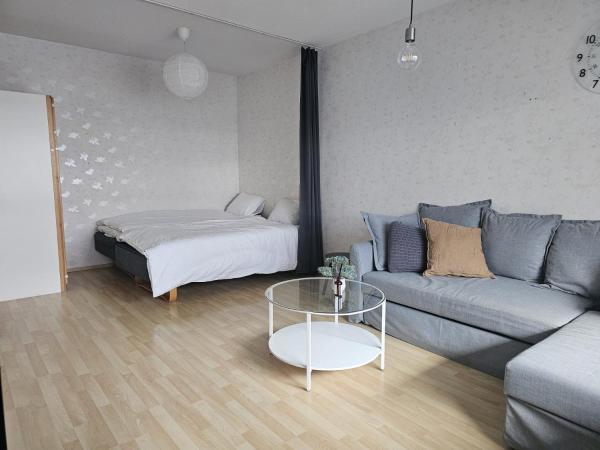 Laitila City Apartments - Sisältää Parkkipaikan - Laitila