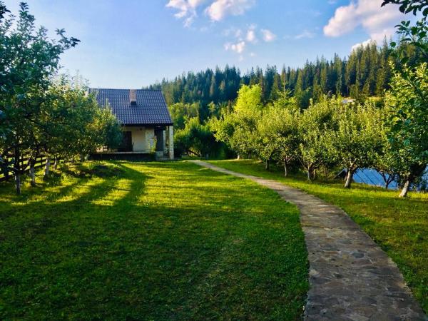 Forest Chalet Sucevita - Solca