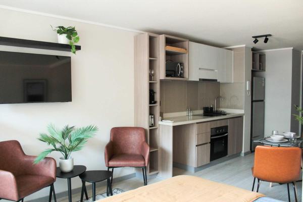 Hom I Moderno Studio 2pax En Eleuterio Santiago - Santiago