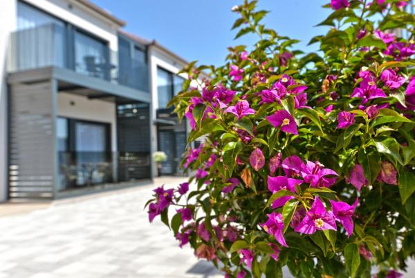 Apart M Top Apartments Close To The Center - Jezera