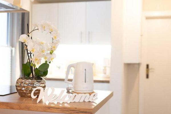 Hyggezeit-im-bungalow-in-wernigerode - Wernigerode