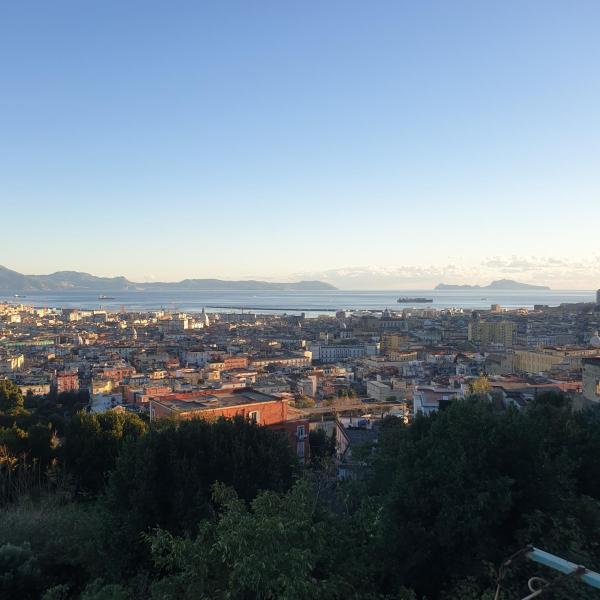 Risingsun - Nápoles