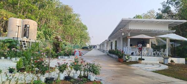 Cocomin Resort - 沙美島
