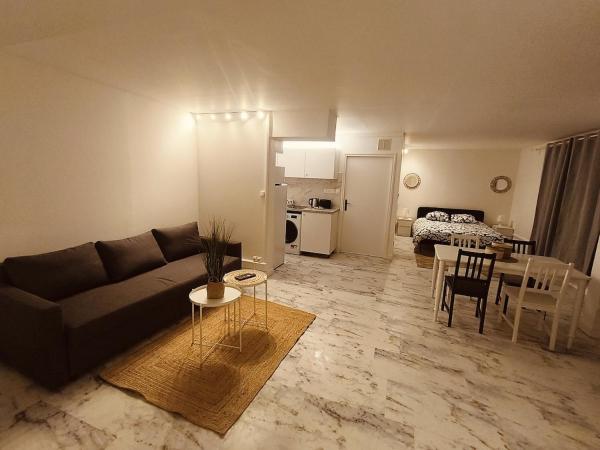 Grand Et Beau Studio De 63 M - Nice
