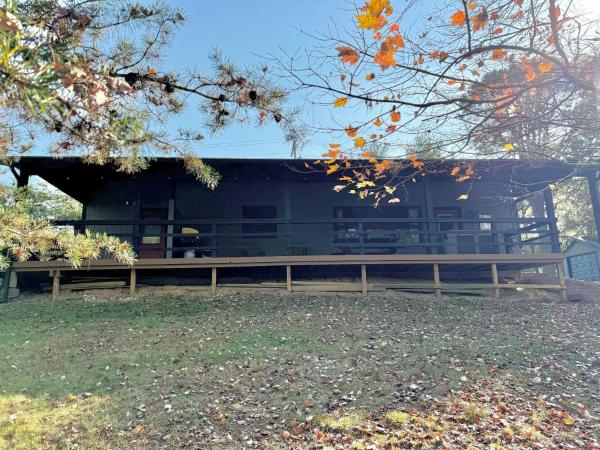 Blue Jay - Hocking Hills State Park, OH