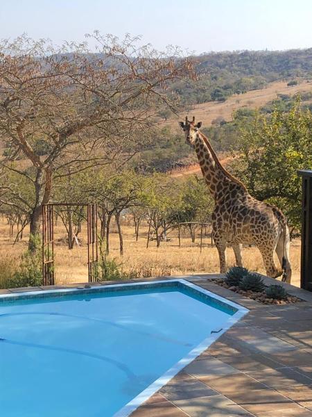 Khululeka Safaris Lodge - White River