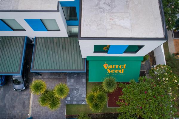 Carrot Seed - Tambun