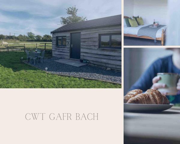Cwt Gafr Bach - Wales