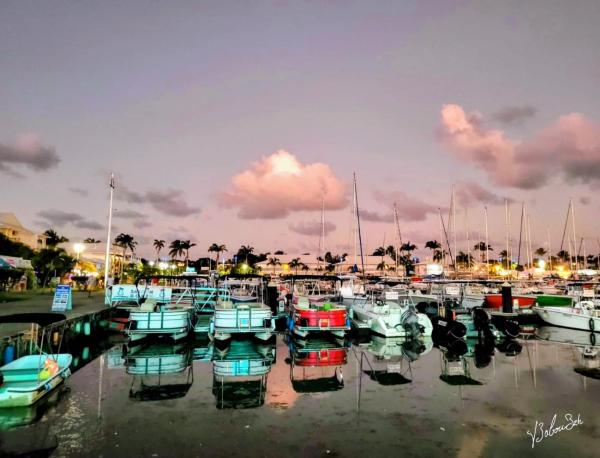 Ti Turtle - Guadalupe