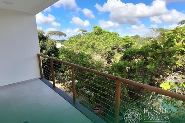 Bosque Aldeia Dos Camarás - Recife