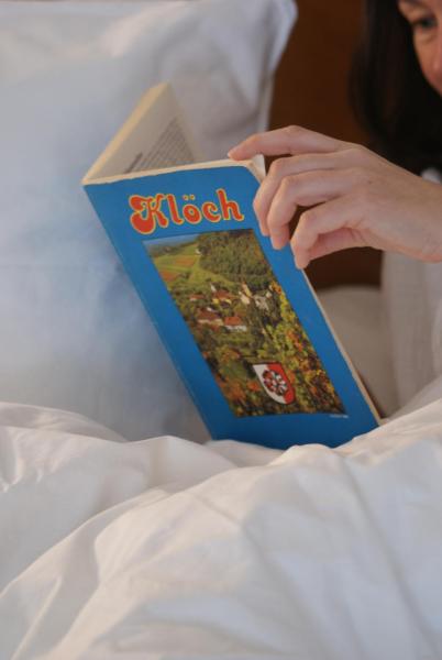 Apartment Im Wein- Und Freizeitidyll Klöch - Bad Gleichenberg