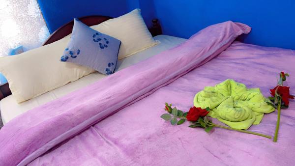 Prince Hotel And Lodge - Bihar
