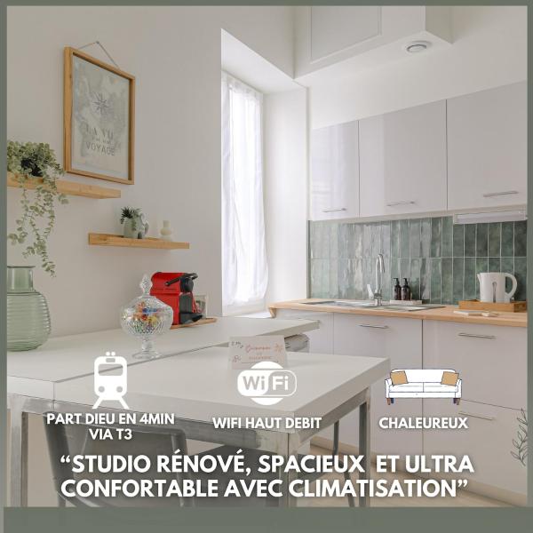 Le Dauphiné Studio Climatisé - Vaulx-en-Velin