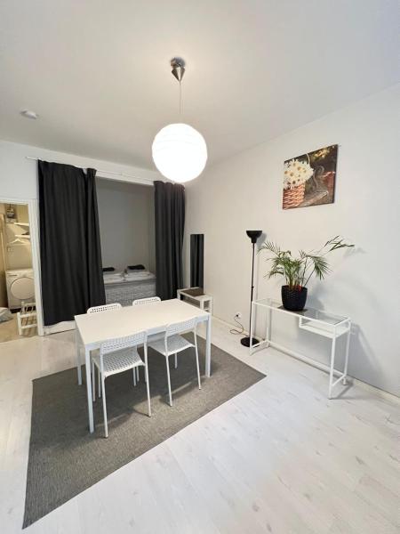 Moderni Siisti Studio Koti Jossa Modernit Kalusteet - Helsinki
