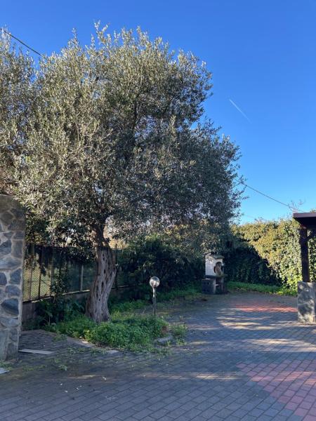 Rural Apartment 44 - Alghero