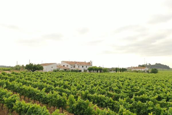 Soul Farm Mas Els Igols - Bellver