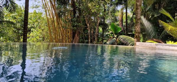 A Peace In Paradise - Seychellen