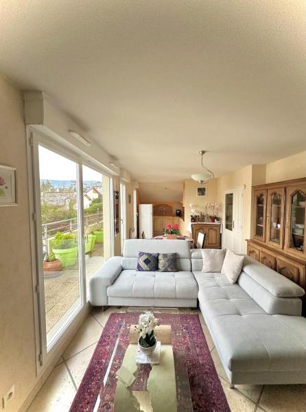 Appartement Vue Sur Le Chateau - Geneva