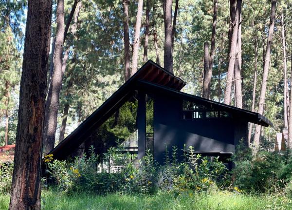 Cabaña En El Bosque - Mexico
