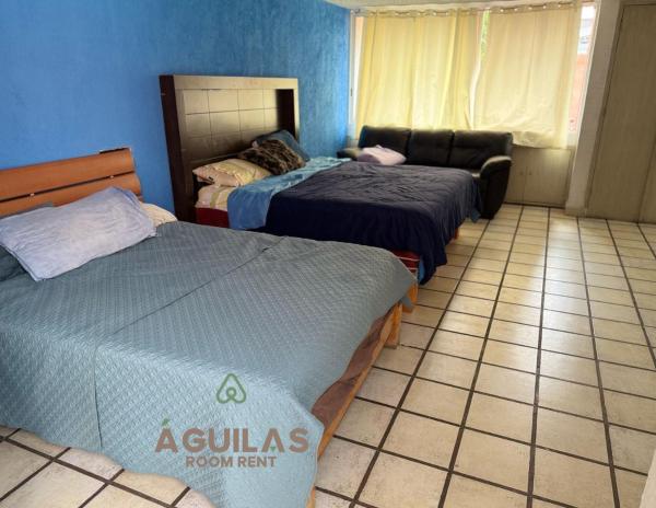 ÁGuilas Room Rent - Mexico City