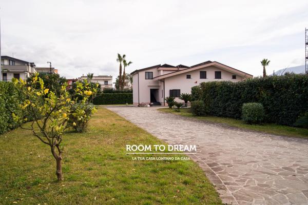 Room To Dream - Campania
