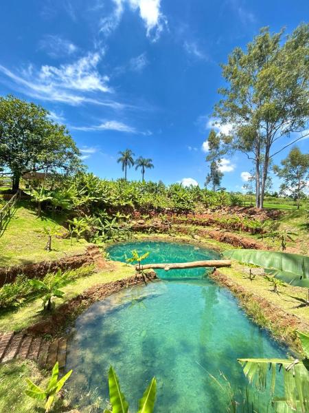 Fazenda Brotas Sp - Minas Gerais