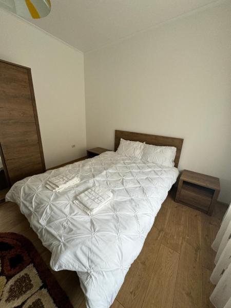 Edy Central Apartment - Arad