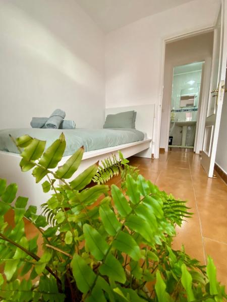 Teresa Home - Corralejo