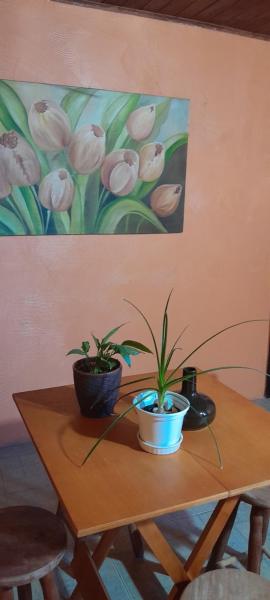 Vista Para O Por Do Sol - Cabo Frio