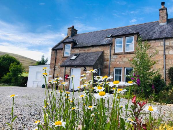 Lettoch Farm - Aberdeenshire