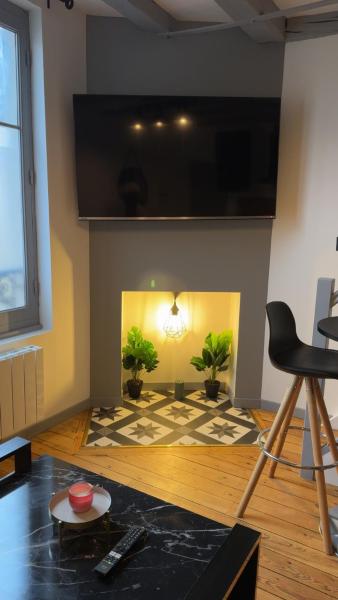 Le Gris Métal, T2 Duplex, Centre Ville Historique - ibis Styles Bourges