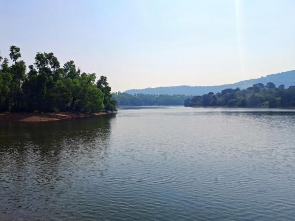 Satyam Farms - Maharashtra