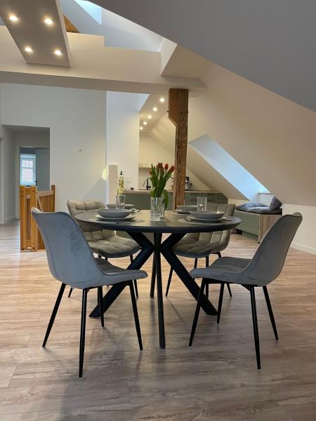 Apartment Elbhirsch Im Beliebten Villenviertel Weißer Hirsch - Dresde