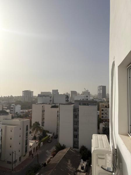 Harajuku - Dakar