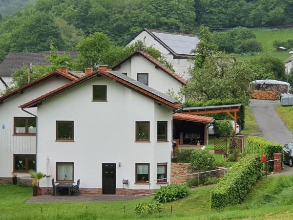 Eifel Ferienwohnung Dahmen - Gerolstein