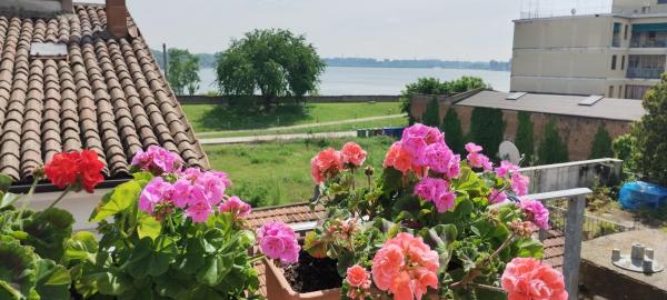 Bellavista Mantova - Mantua