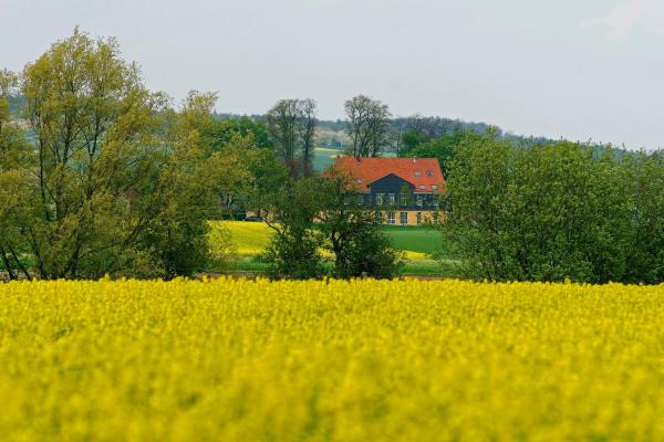 Landhaus Heidekrug - Hildesheim